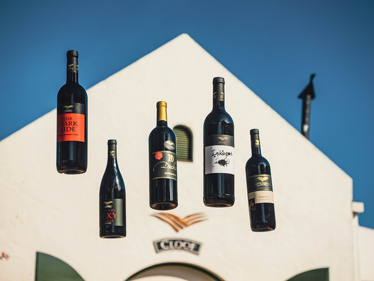 Wine Tasting – Cloof Wine Estate